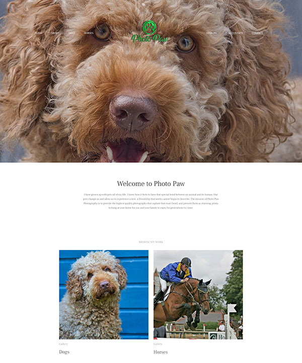 Best Pet Photography Portfolio Website Examples - Pixpa