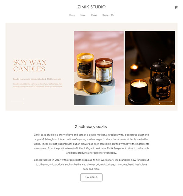 Best Small Business Website Examples - Pixpa